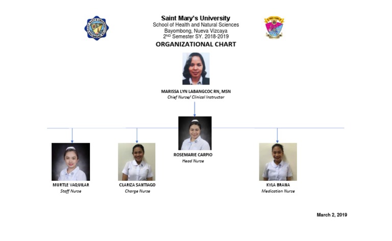 Organizational Chart - NCM | PDF