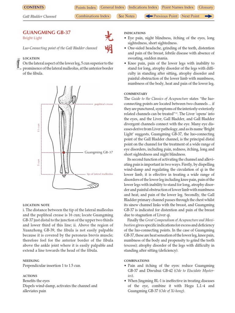 Guangming Gb-37: Bright Light | PDF | Human Leg | Pain