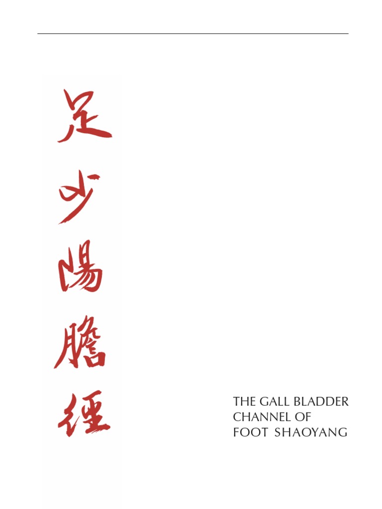The Gall Bladder Channel of Foot Shaoyang | PDF | Anatomical Terms Of ...