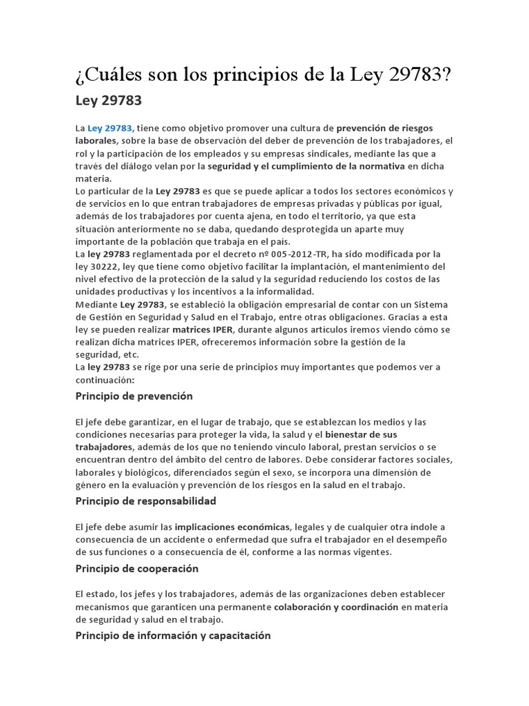 Principios Clave de la Ley 29783 | PDF | Seguridad | Seguridad y salud ...