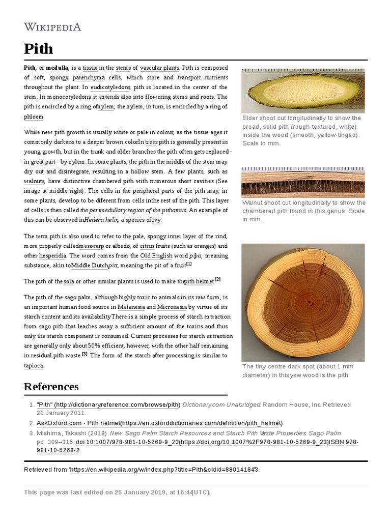 References: Pith, or Medulla, Is A Tissue in The Stems of Vascular ...
