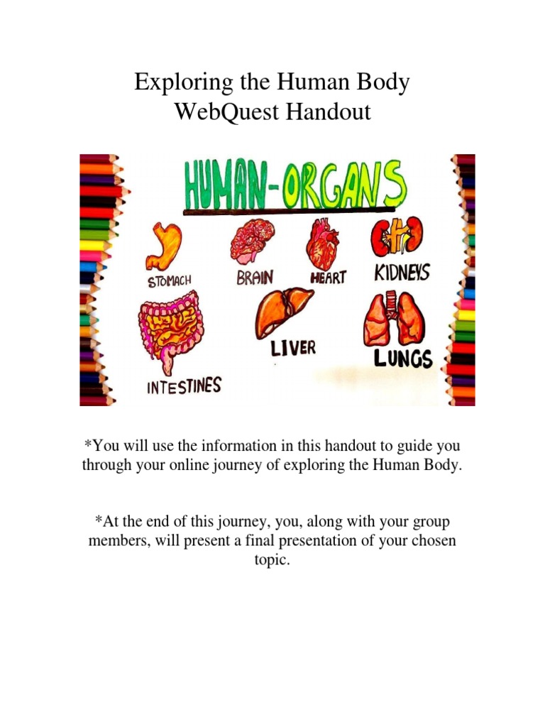 Human Body Webquest Paper Handout-1 | Download Free PDF | Behavior ...