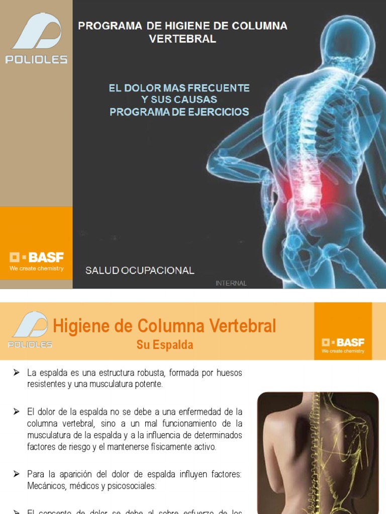 Higiene de Columna | PDF | Vértebra | La columna vertebral