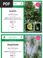Bingo de Plantas Fotos | PDF