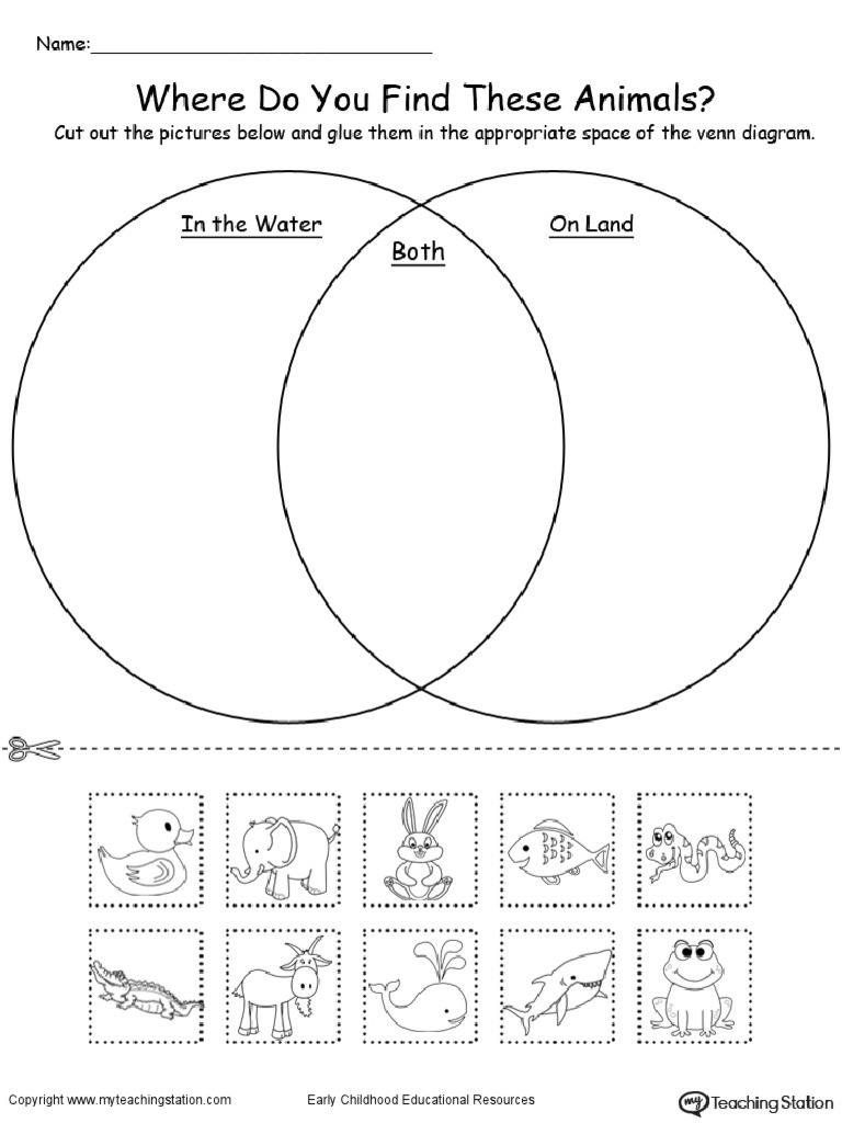 MTS Venn Diagram Animals in Water On Land PDF | PDF