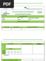 Formato PES para Diagnóstico y Cuidados de Enfermería | PDF