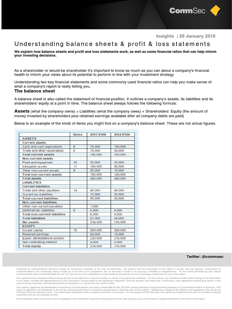 Understanding Balance Sheets & Profit & Loss Statements: Insights | PDF ...