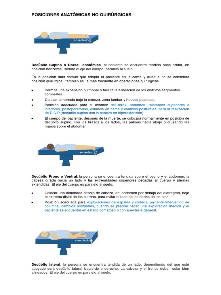 Esquema Posiciones Anatomicas | PDF | Términos anatómicos de ubicación | Anatomía humana