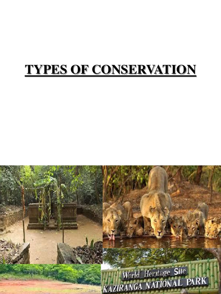 Conservation Methods Explained | PDF | Wellness