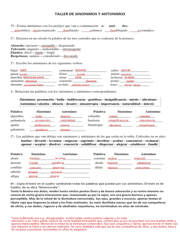 Taller Sinonimos y Antónimos Onces | PDF