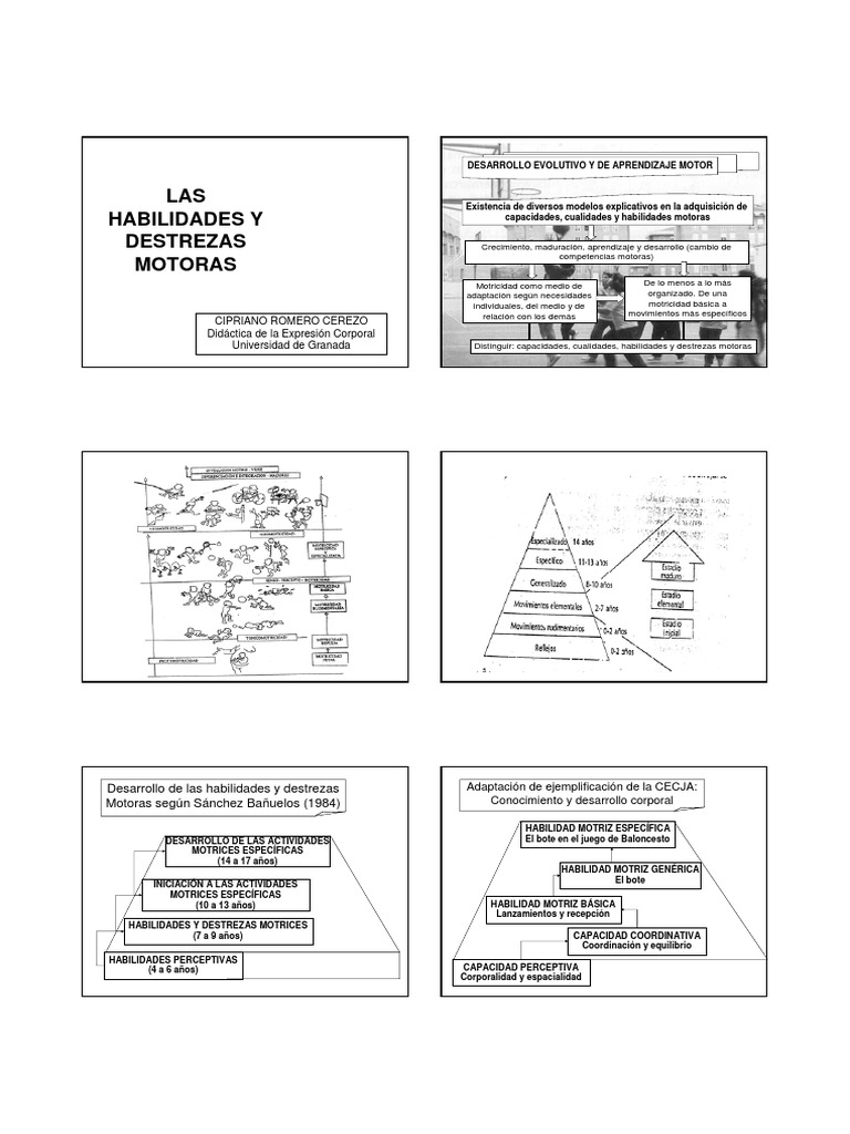 Tema X Habilidades y Destrezas Motoras PDF | PDF | Teoría de la ...
