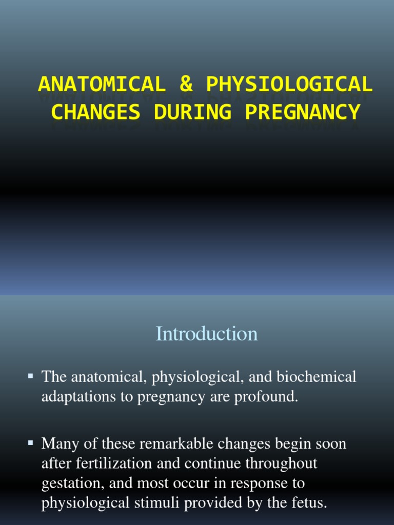 Pregnancy: Anatomical and Physiological Changes | PDF | Ovary | Pelvis