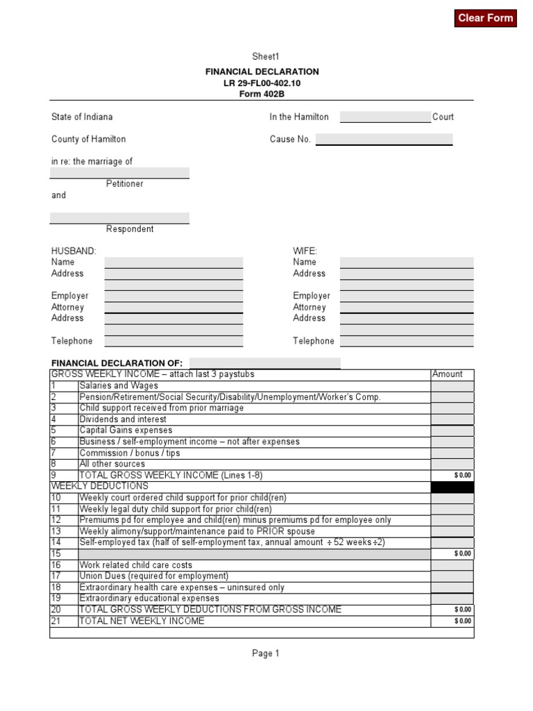 Financial Declaration LR 29-FL00-402.10 Form 402B | PDF | Income Tax In ...
