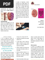 Triptíco VPH | PDF | Cáncer | Rtt
