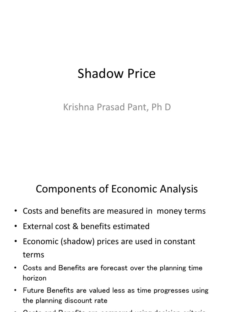 Shadow Price | PDF | Prices | Interest