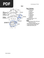 Hand and Wrist Anatomy Overview | PDF | Hand | Joints