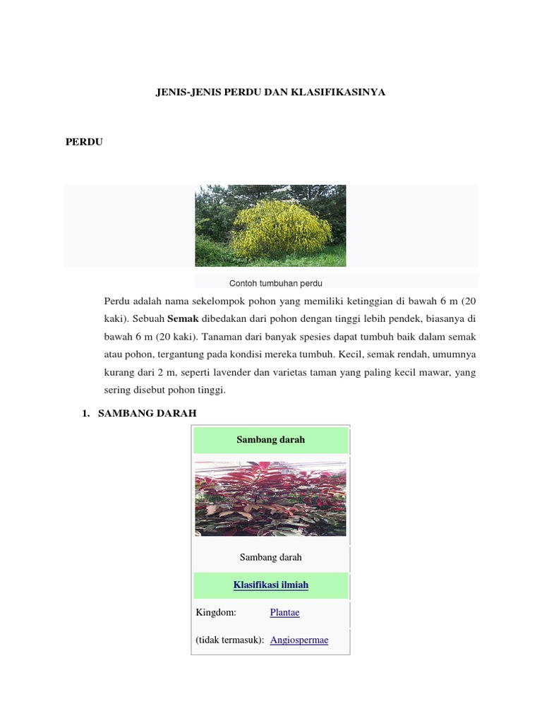 Jenis-Jenis Perdu dan Klasifikasinya | PDF | Sains & Matematika