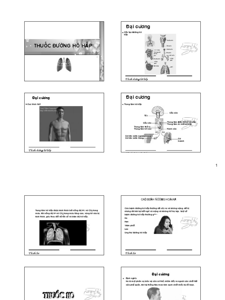 Đường hô hấp - Ho & Hen + Hệ TKTV PDF | PDF