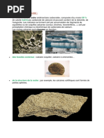 Composition et formation du calcaire | PDF | Calcaire | Carbonate