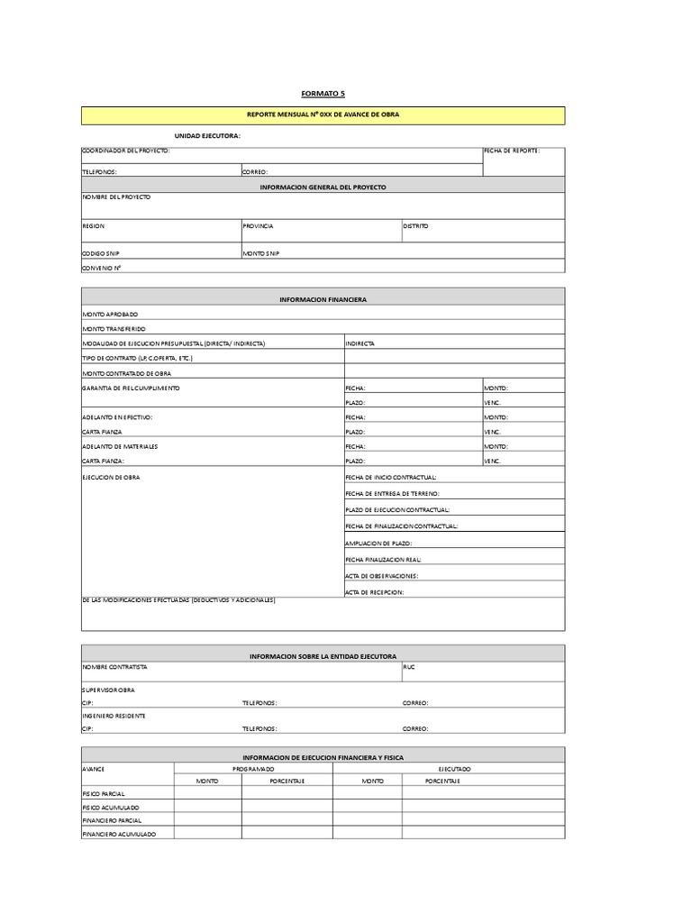 Formato 5 Reporte Mensual De Avance De Obra