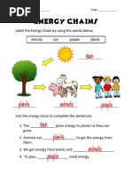 5 Rough Objects | PDF