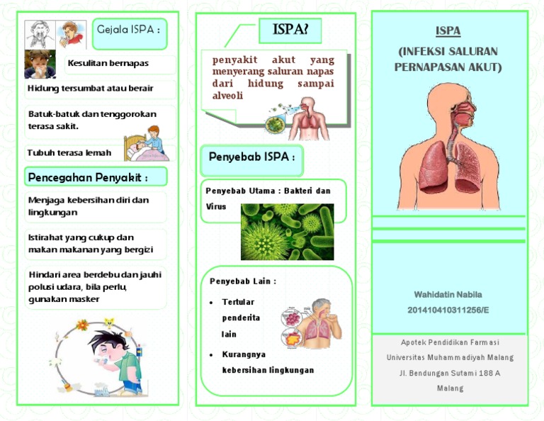 Brosur Ispa | PDF