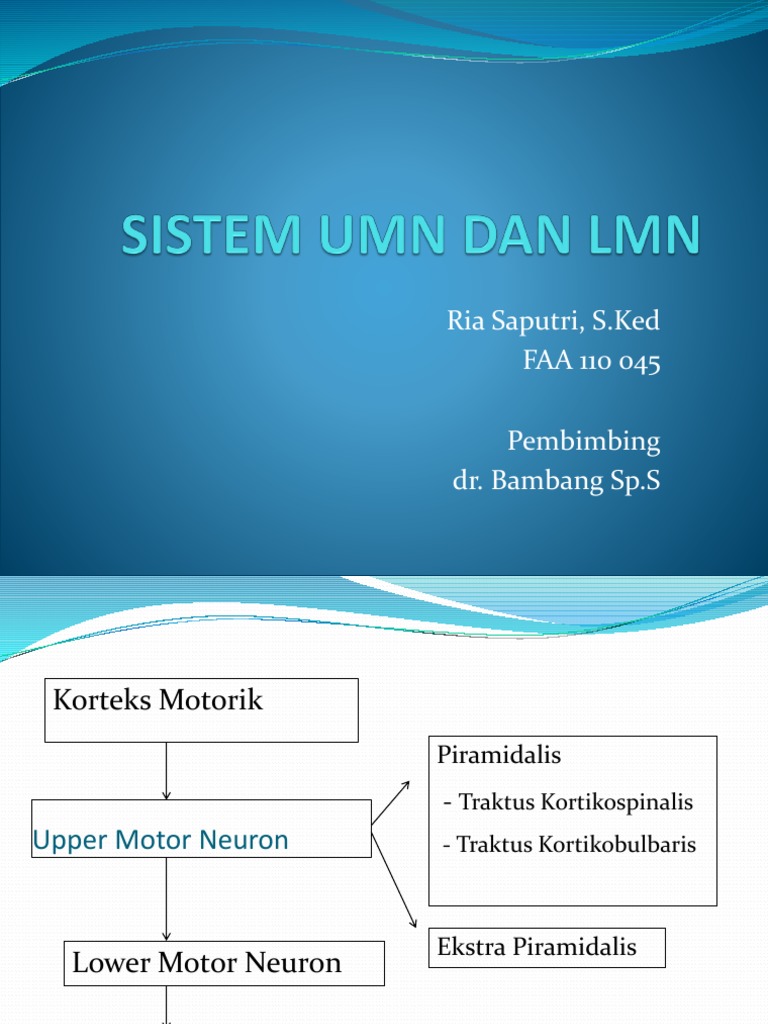 PPT LMN Dan Umn | PDF