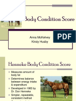 Royal Canin Body Condition Score Charts | PDF | Abdomen | Pelvis