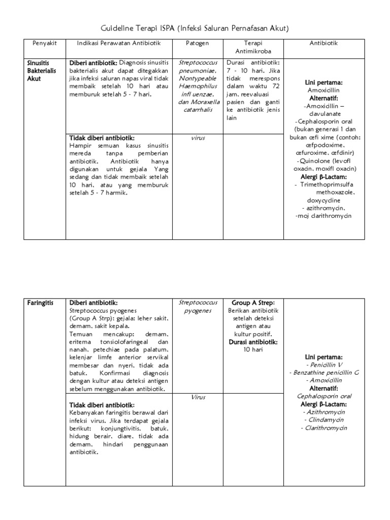 Guideline Terapi ISPA | PDF