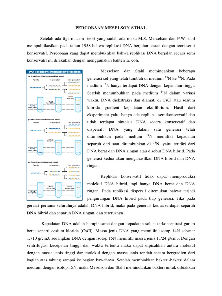 Replikasi DNA dan Retrovirus | PDF | Sains & Matematika