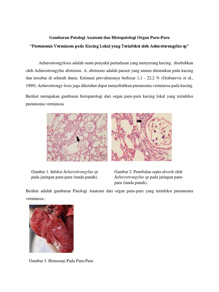 Gambaran Patologi Anatomi Dan Histopatologi Organ Paru | PDF