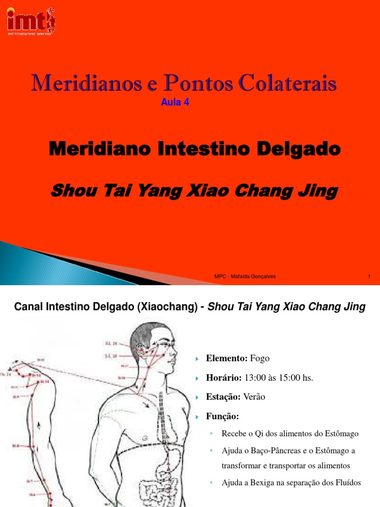 Meridiano Do Intestino Delgado | PDF | Cotovelo | Dor