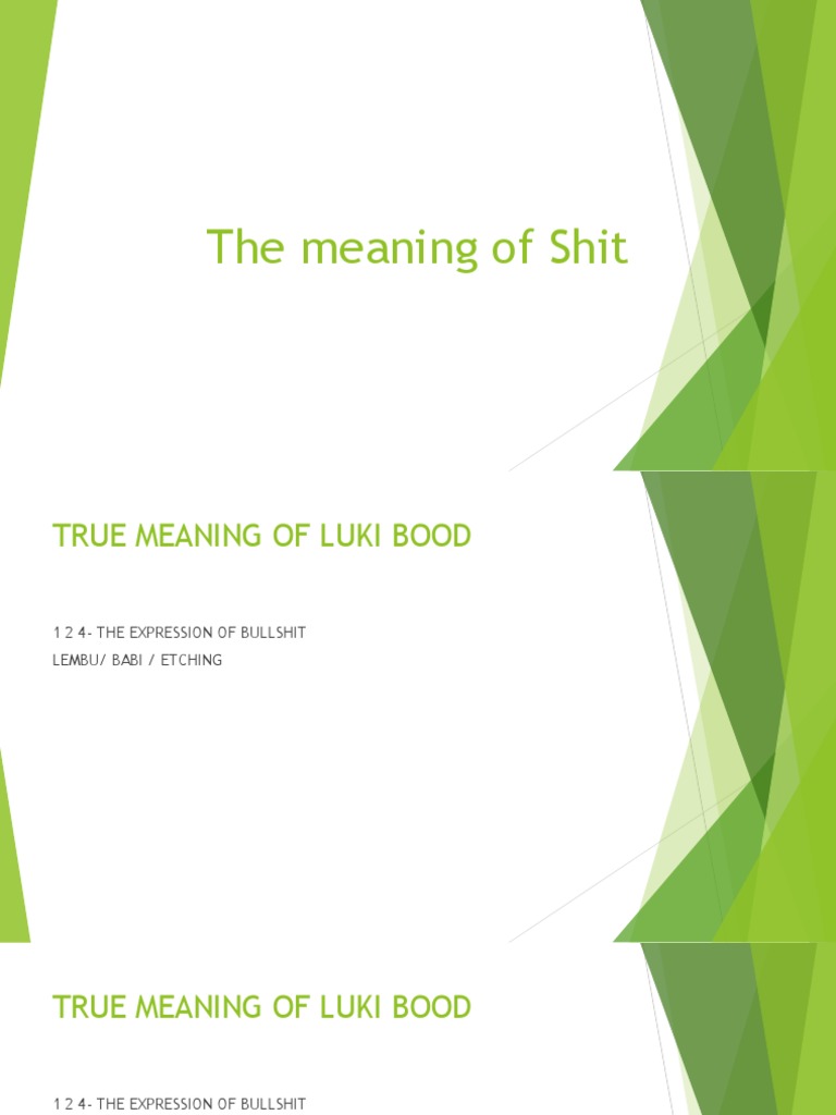 Understanding Slang and Expressions | PDF