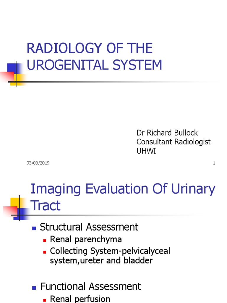 Genitourinary Radiology | PDF | Medical Imaging | Radiology