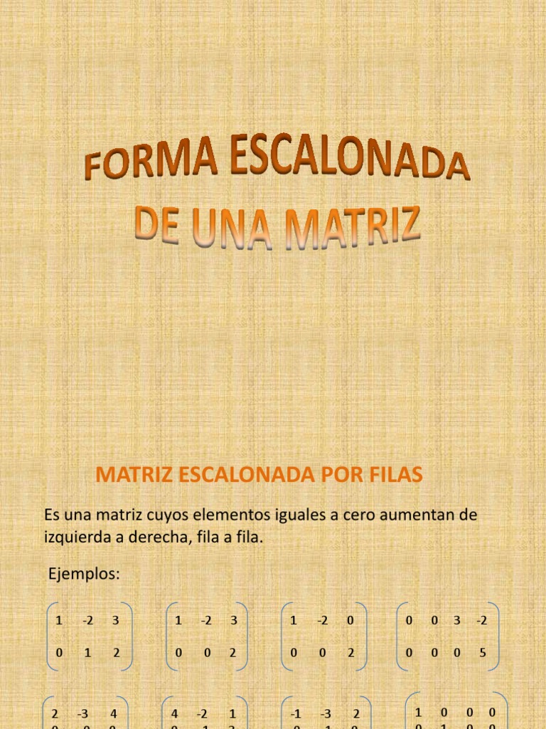Forma Escalonada de Una Matriz | PDF | Matriz (Matemáticas) | Álgebra