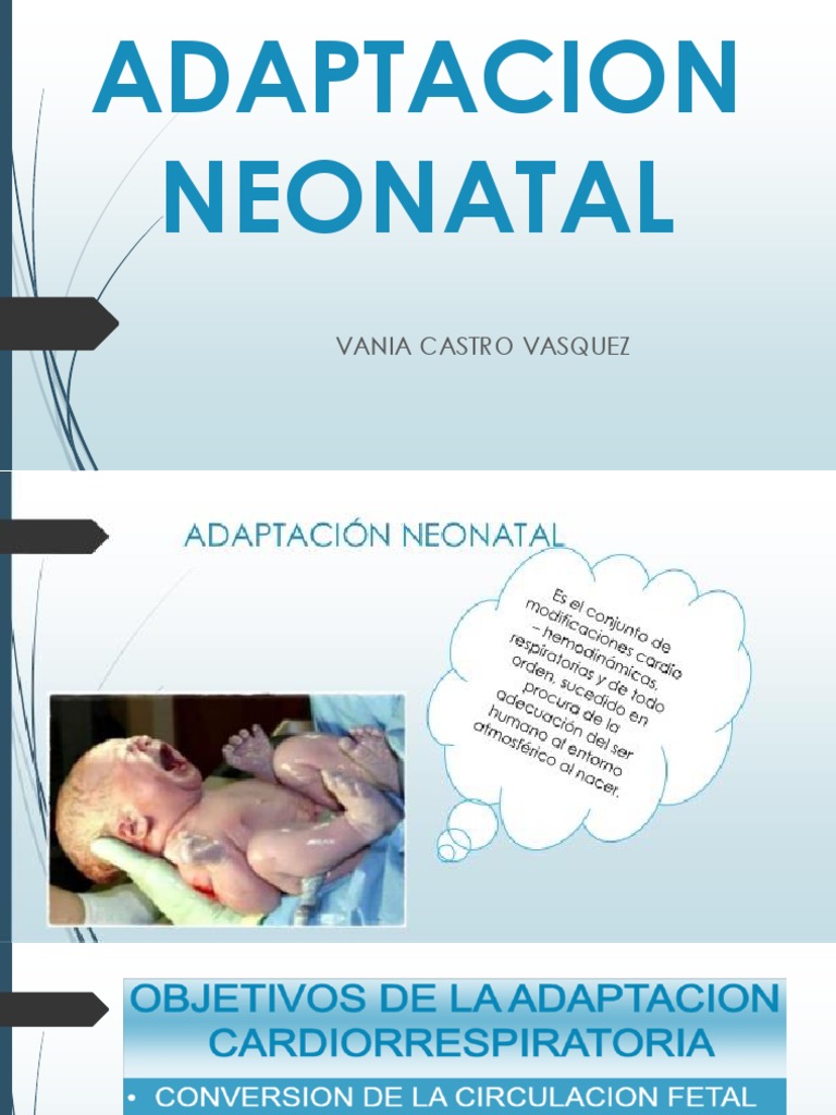 Adaptacion Neonatal | PDF | Feto | Vena