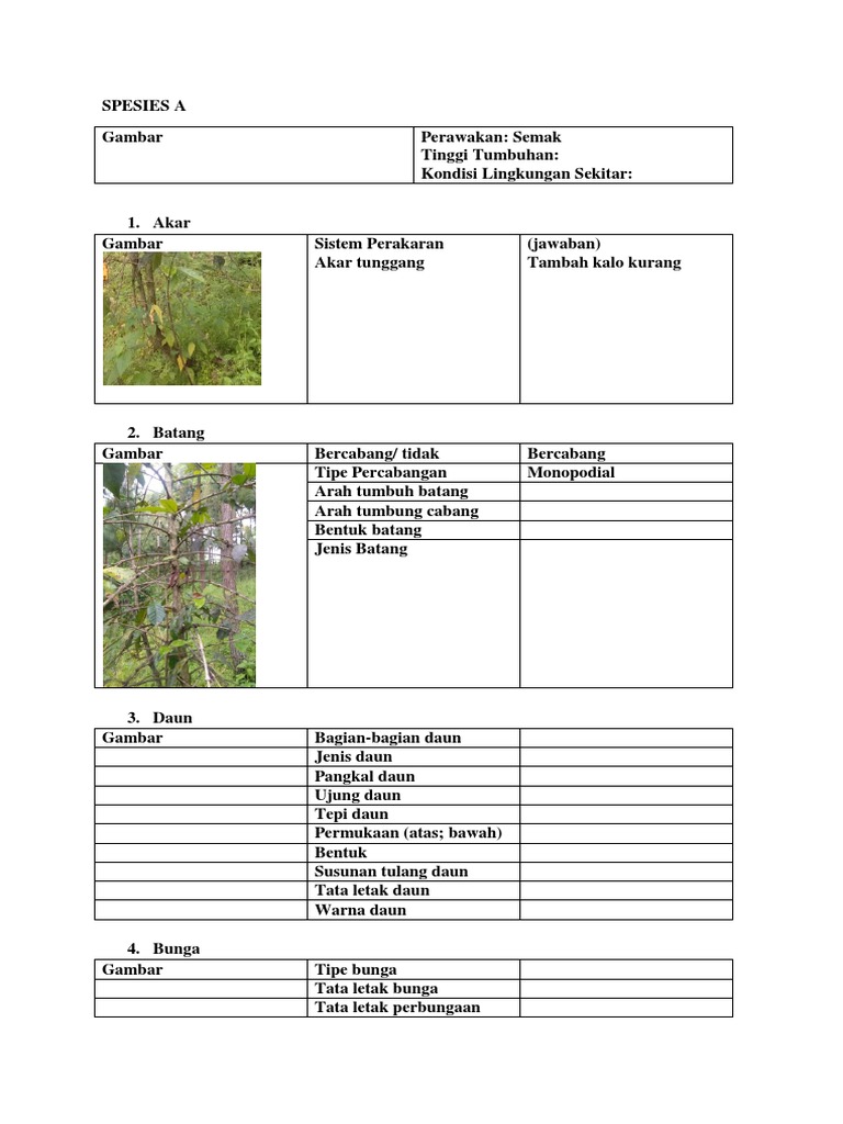 Template Tabel Pengamatan | PDF