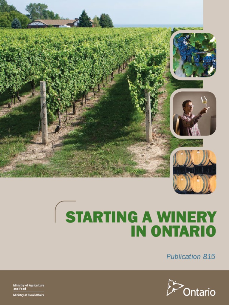 Starting A Winery in Ontario: Publication 815 | PDF | Winery | Vineyard