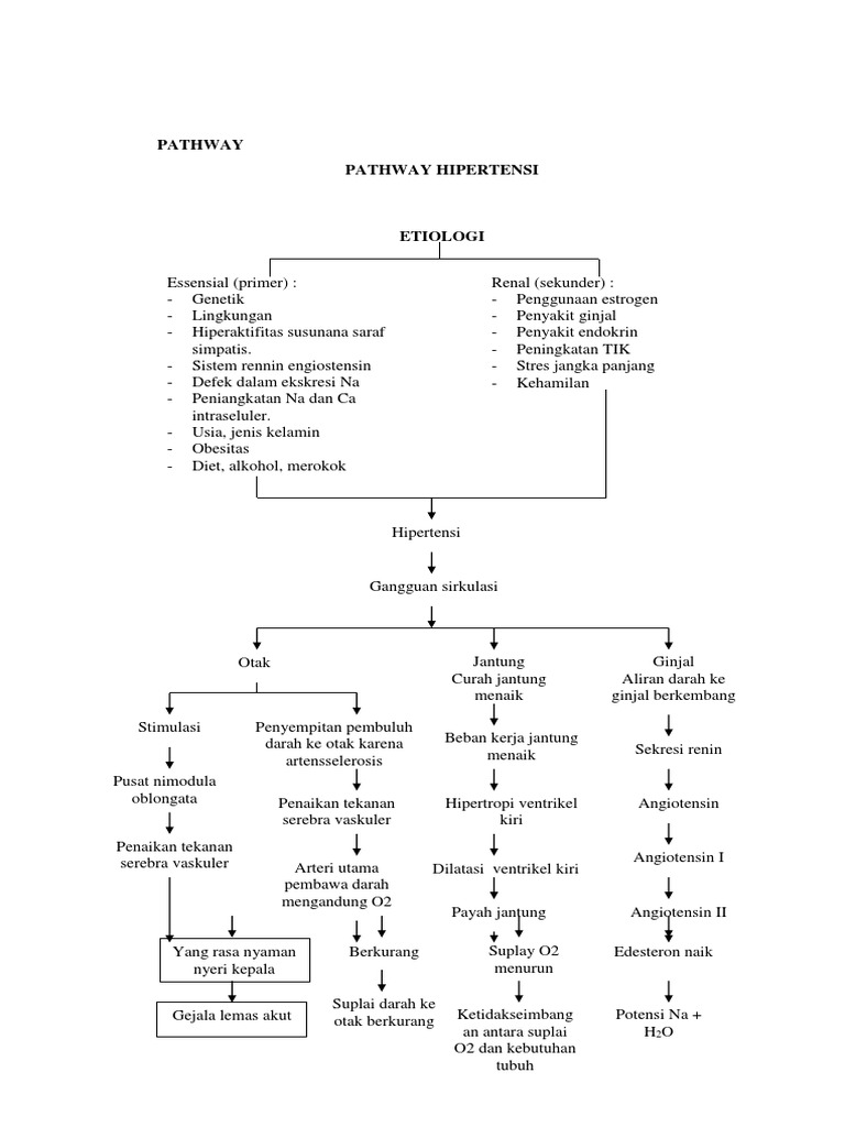 Pathway Hipertensi | PDF