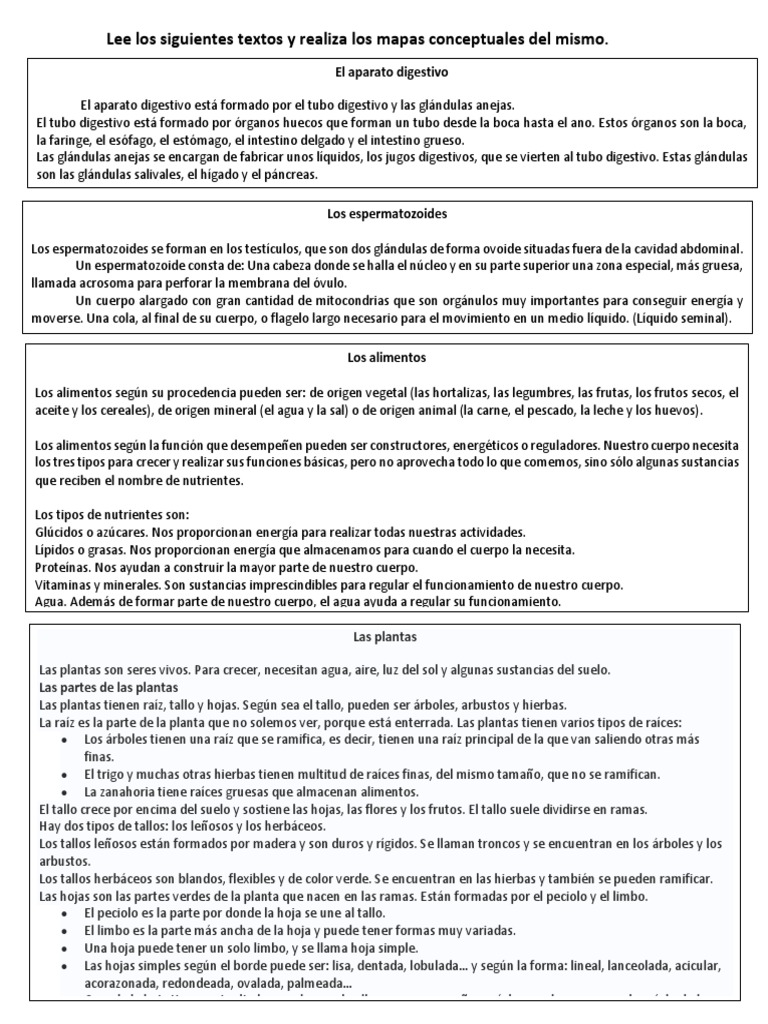 Ejercicios de Mapas Conceptuales | PDF | Sistema digestivo humano ...