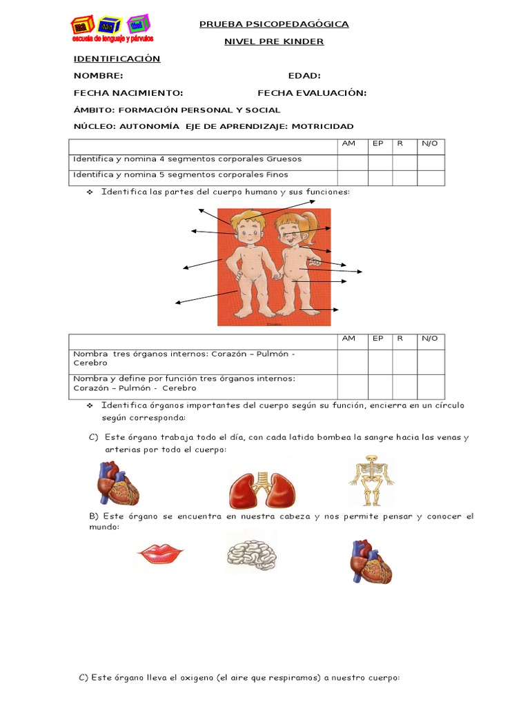 Prueba Diagnostica PREKINDER 2013 | PDF | Corazón | Educación de la ...