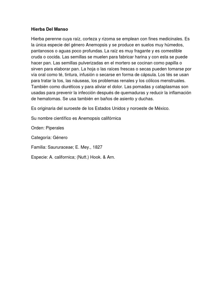 Hierba Del Manso | PDF | Plantas | Botánica