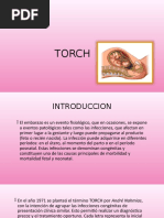 PERFIL TORCH | PDF | El embarazo | Infección