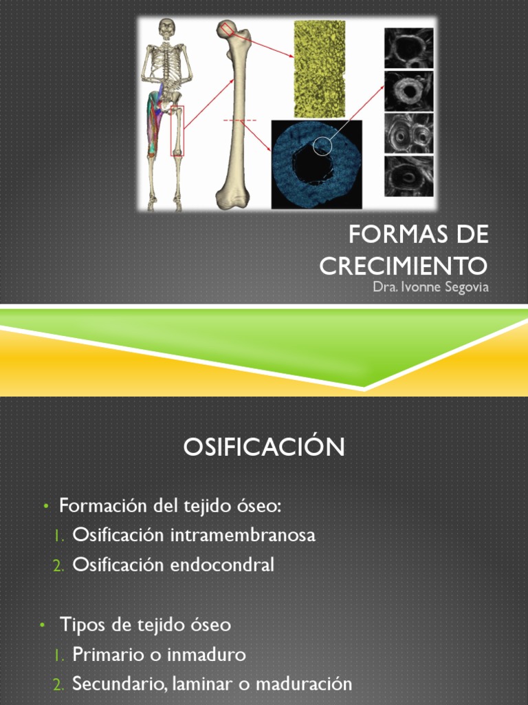 Crecimiento Oseo PDF | PDF | Hueso | Sistema esquelético