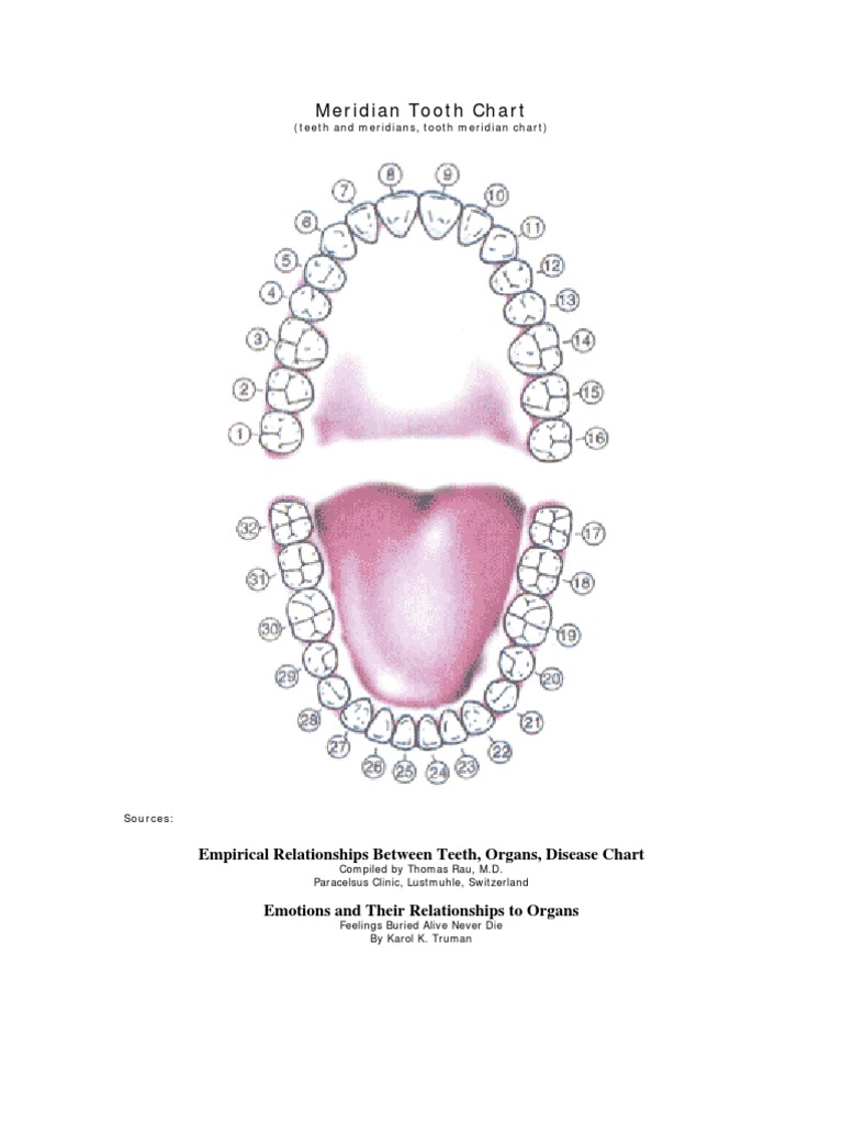 Meridian Tooth Chart | PDF | Bile | Tooth