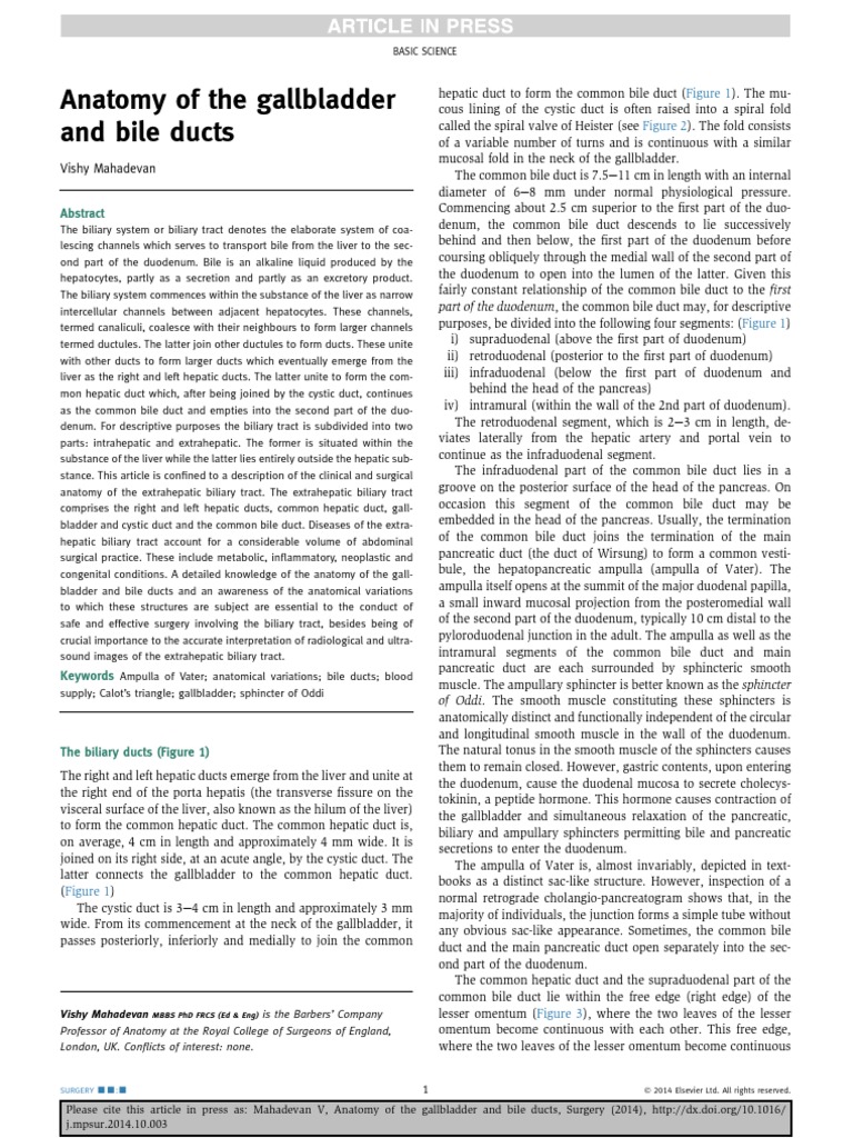 Gallblader Anatomy | PDF | Liver | Gallbladder