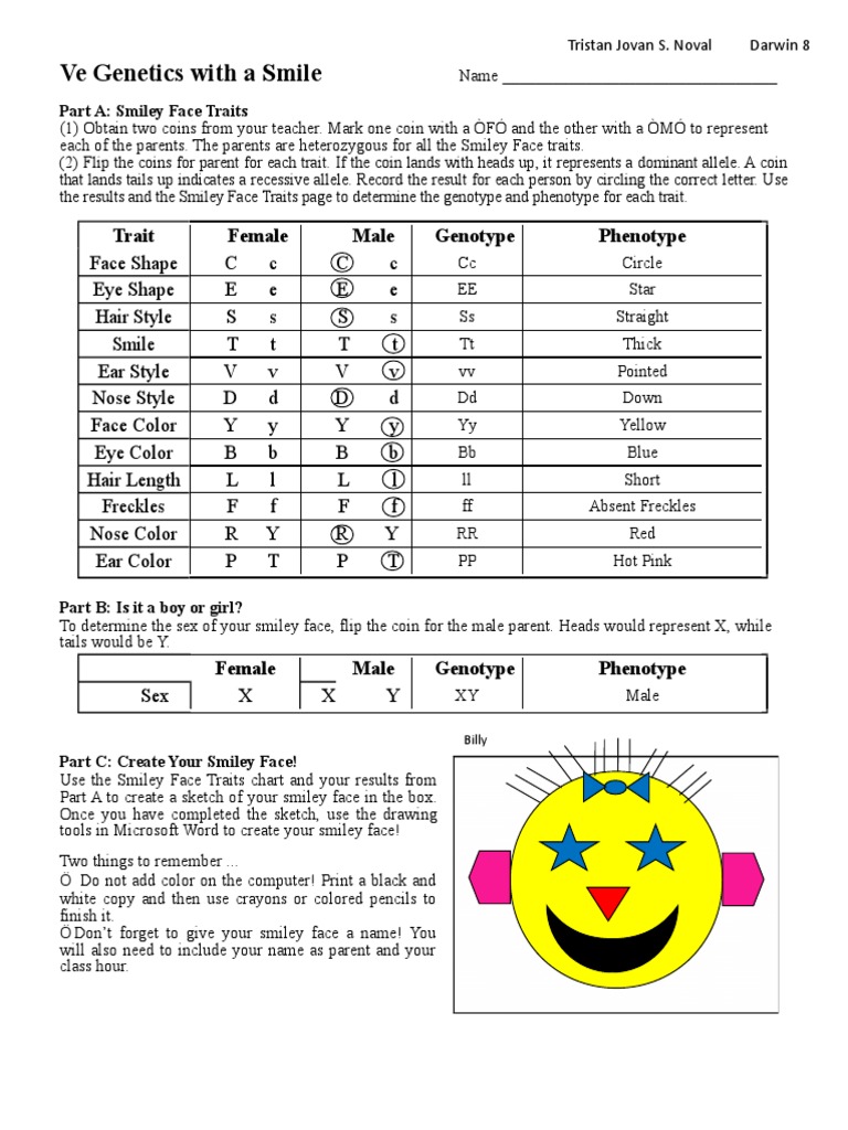 Billy the Smiley Face: Using Coin Flips and Genetics to Determine Traits | PDF | Dominance ...