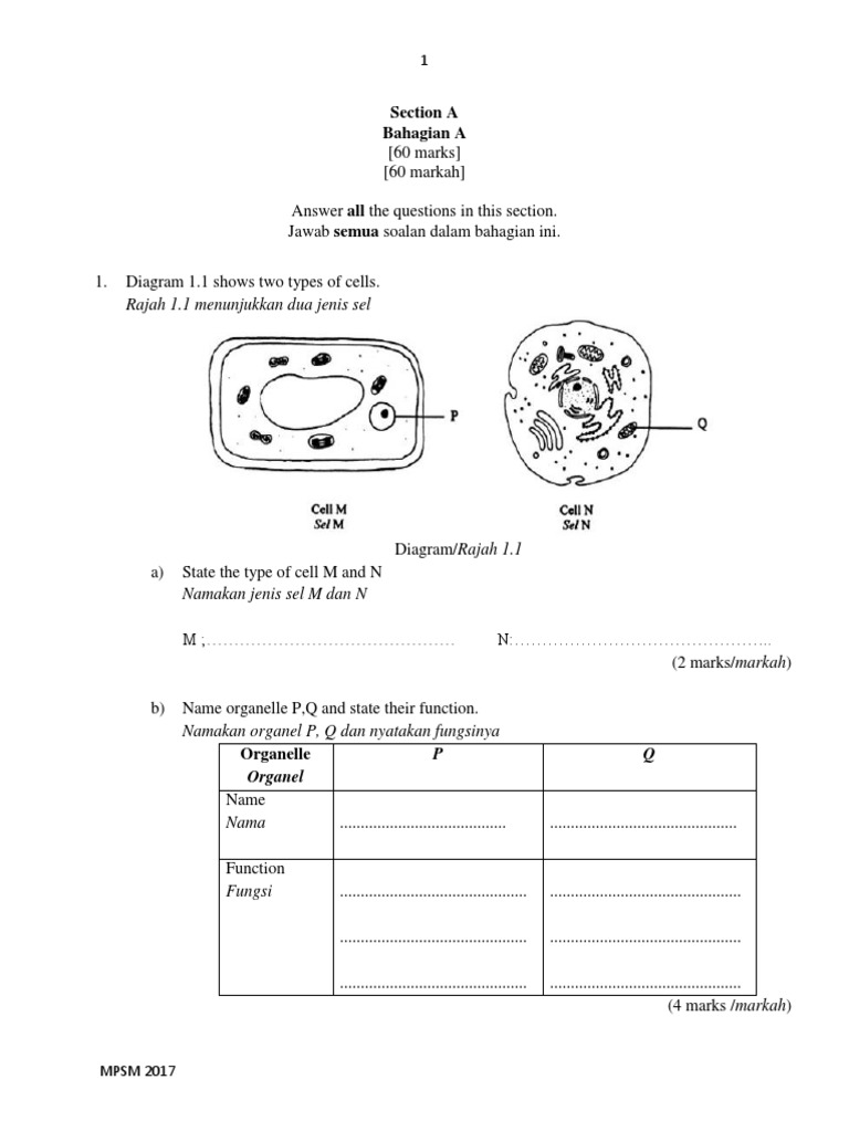 Bendalir Tisu | PDF | Biology | Nature