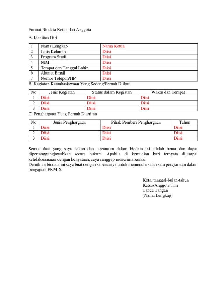 Format Biodata PKM-X Anggota Tim | PDF | Hukum