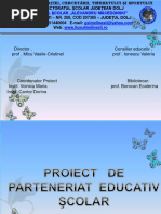 Proiect de Parteneriat Cu Biblioteca | PDF